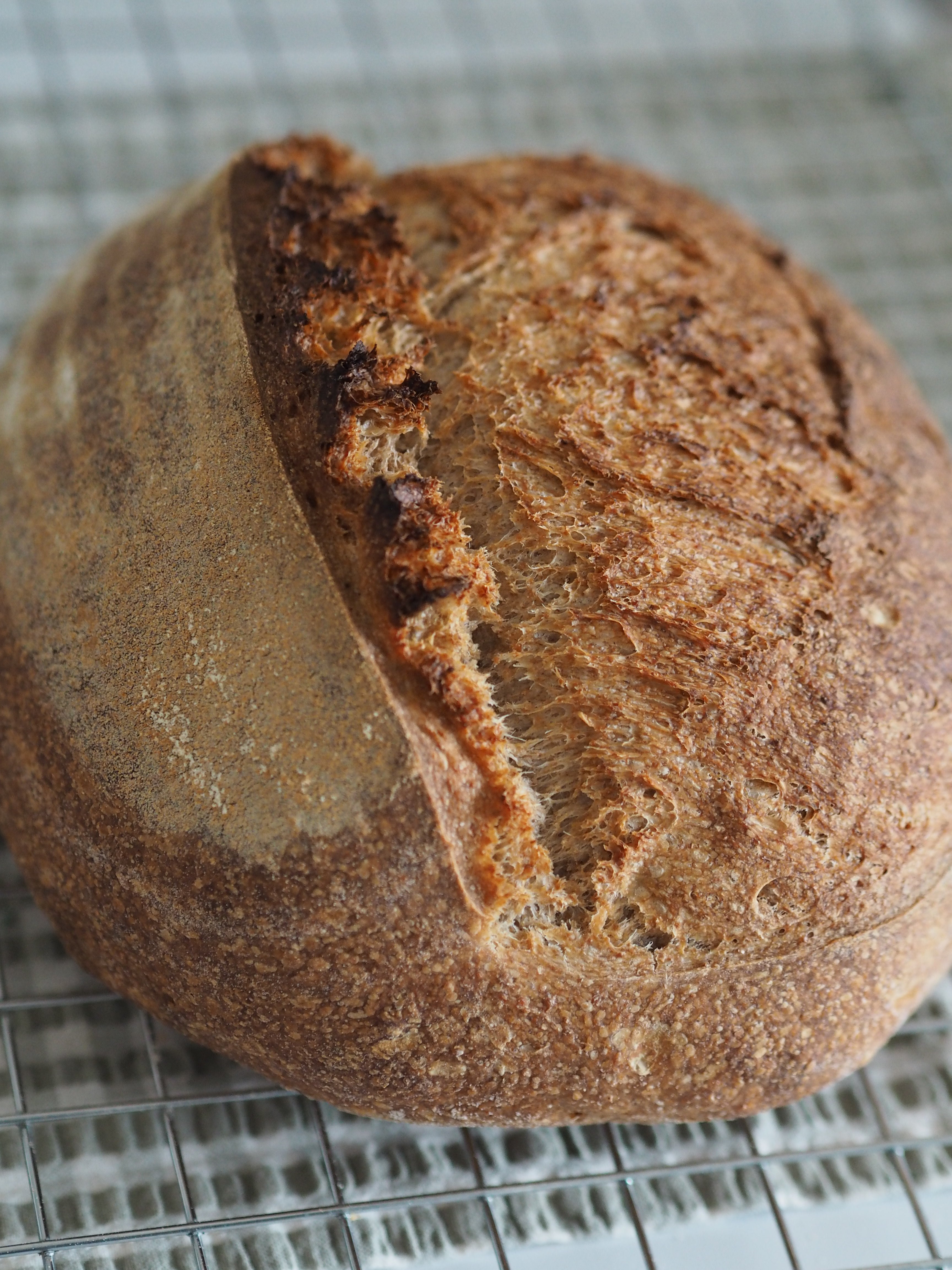 Best of Both Loaf (VG) – Golden Flower Bakery